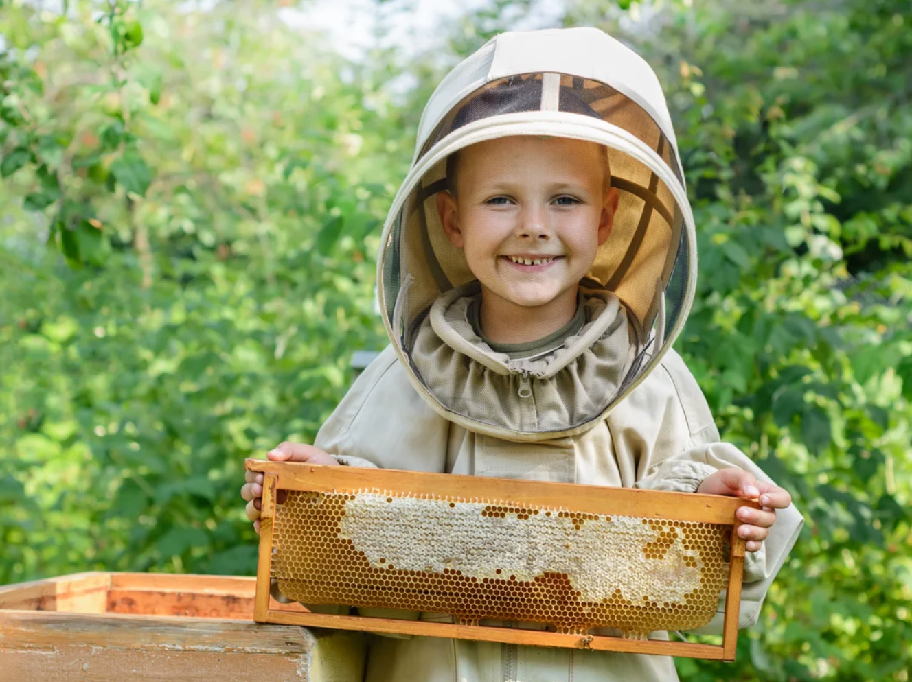 Introducing children to the world of bees!